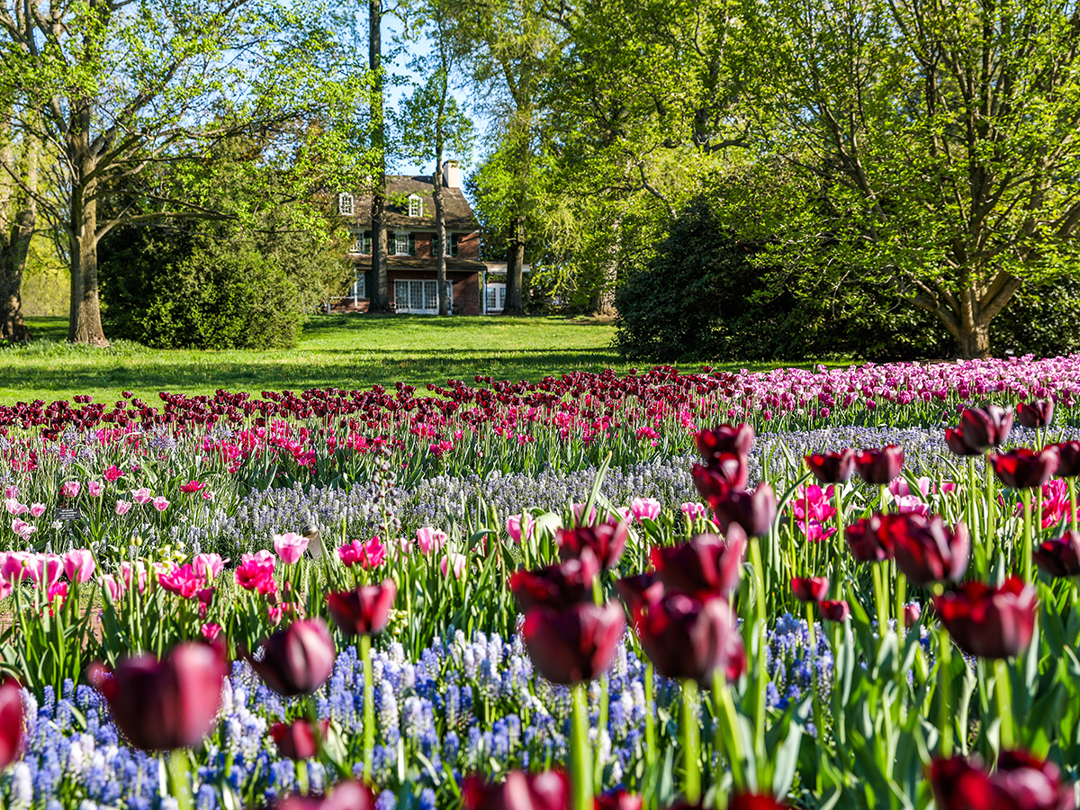 Things to Do in Philadelphia This Week & Weekend | Visit Philadelphia