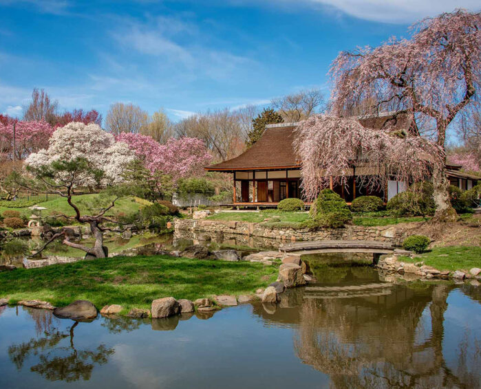20+ Spots to See Cherry Blossoms at Peak Bloom in 2026 | Visit Philadelphia