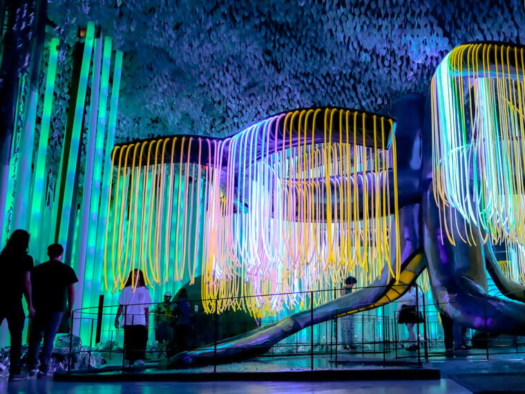 A Guide to Mayfair: Where Philly Pride Meets Global Flavor | Visit ...