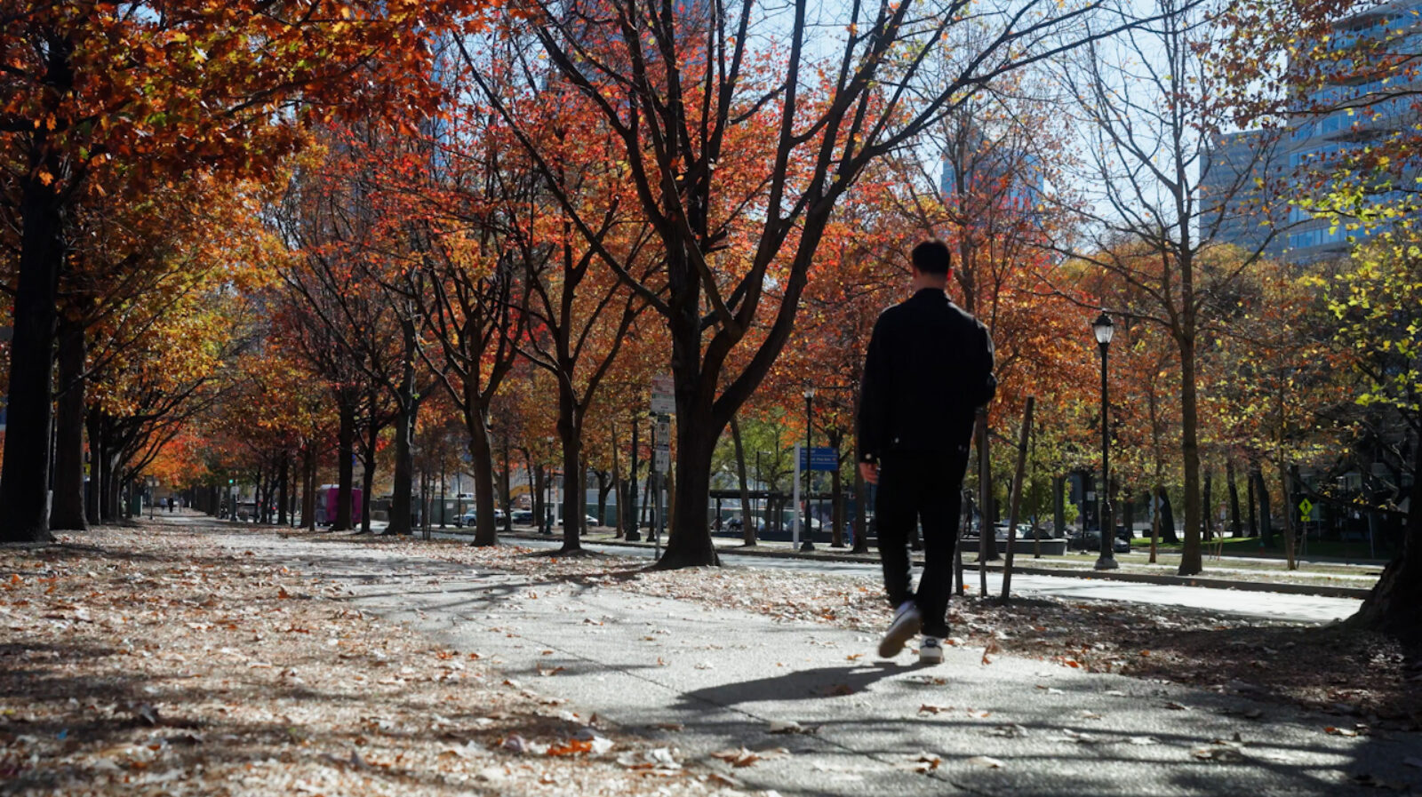 Four Fall Foliage Road Trips in Greater Philadelphia | Visit Philadelphia