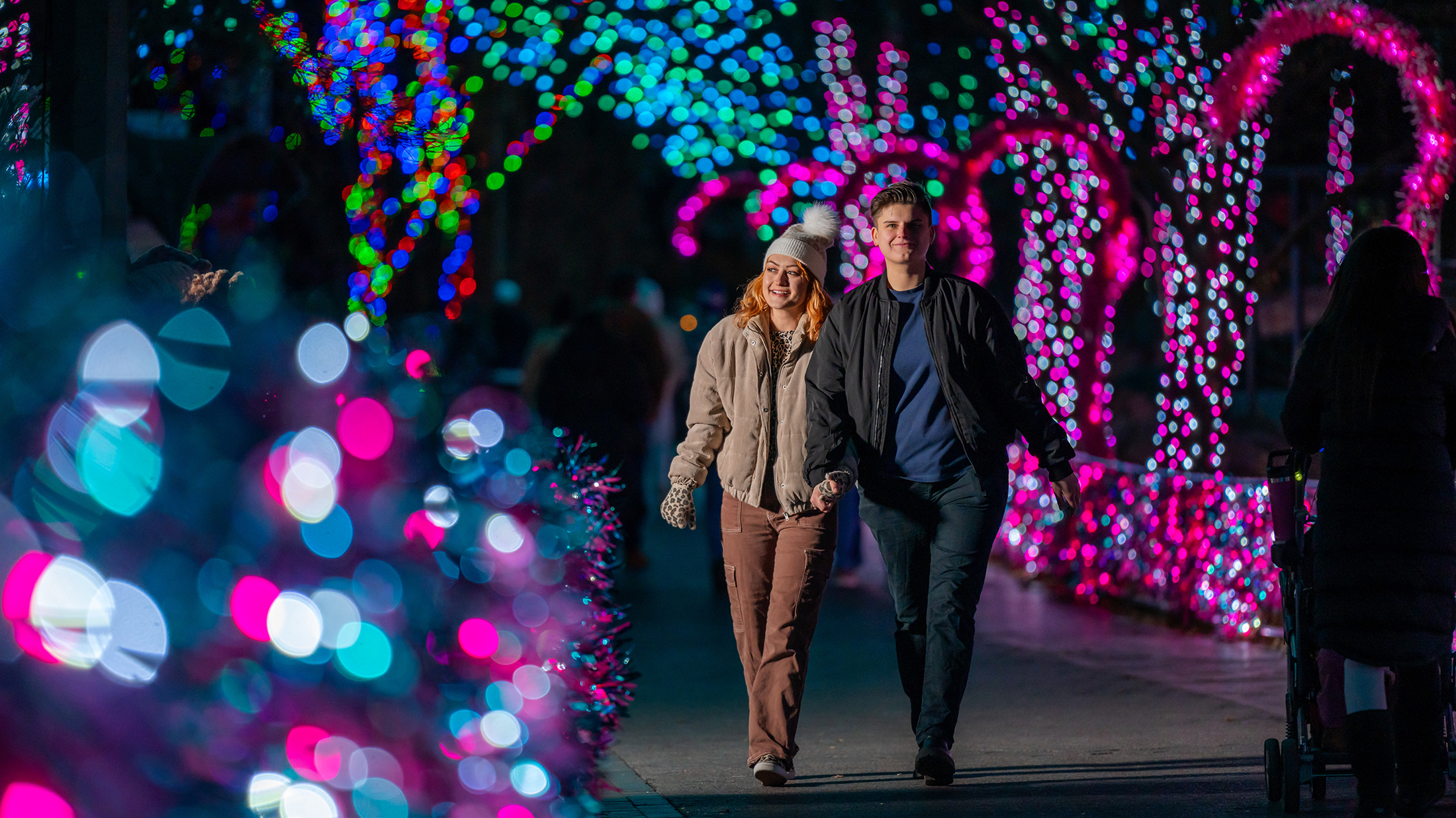 2025 Guide to Philly's Best Christmas Light Shows & Holiday Tours ...